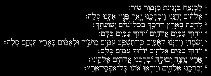 Menorah Project Background